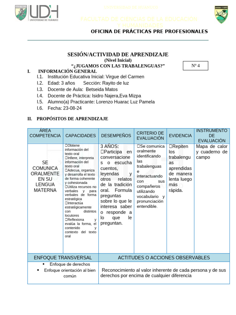 Sesion Inicial 5 COMPLETO | PDF | Evaluación | Aprendizaje