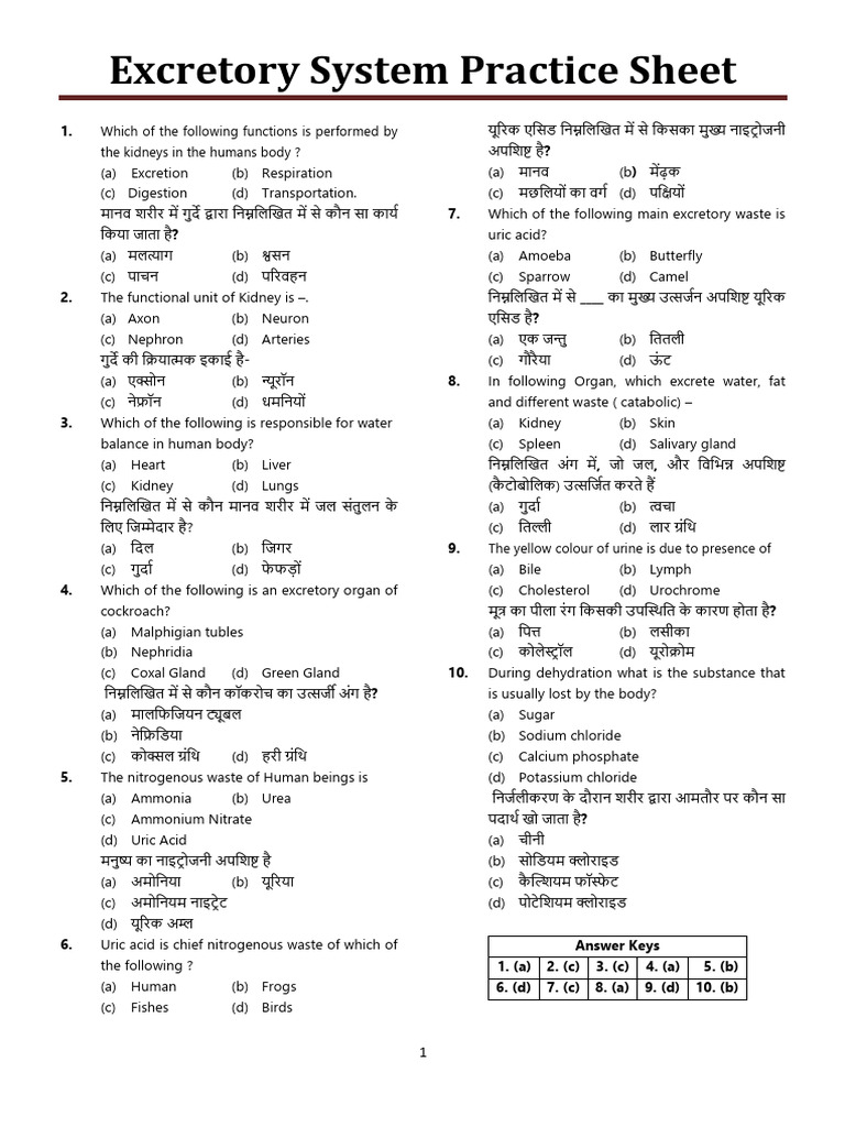 212 Biology Excretory System Excretory System Practice Shee Pdf