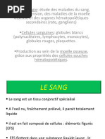 Cours de Physiologie Sanguine | PDF | Globule rouge | Sang