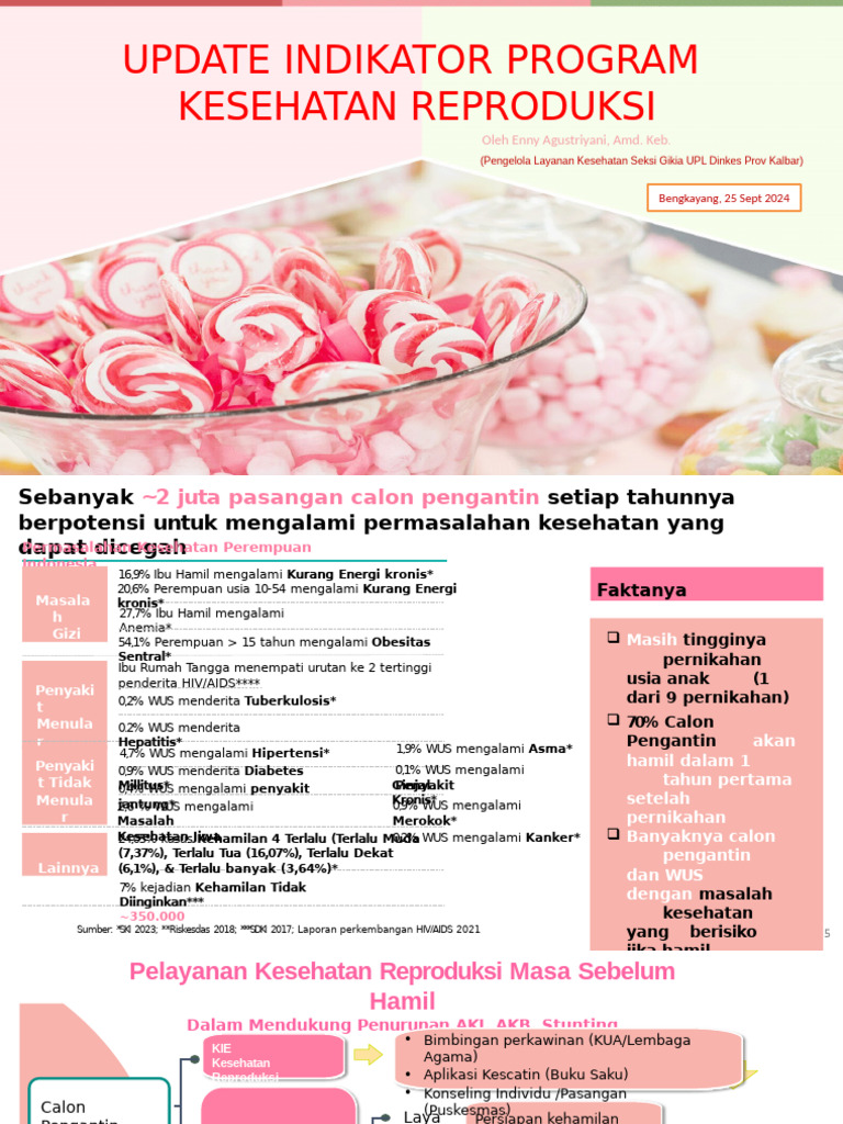 Update Variabel Indikator Program Kespro 2024 | PDF