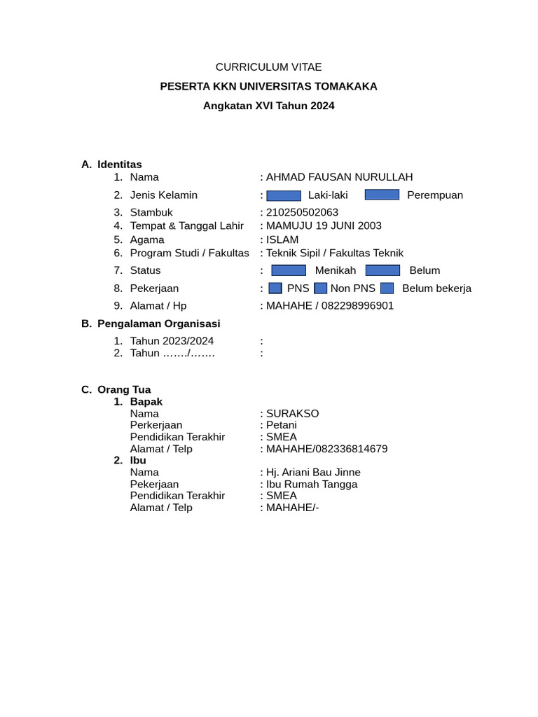 Curriculum Vitae Ahmad Fausan Nurullah | PDF
