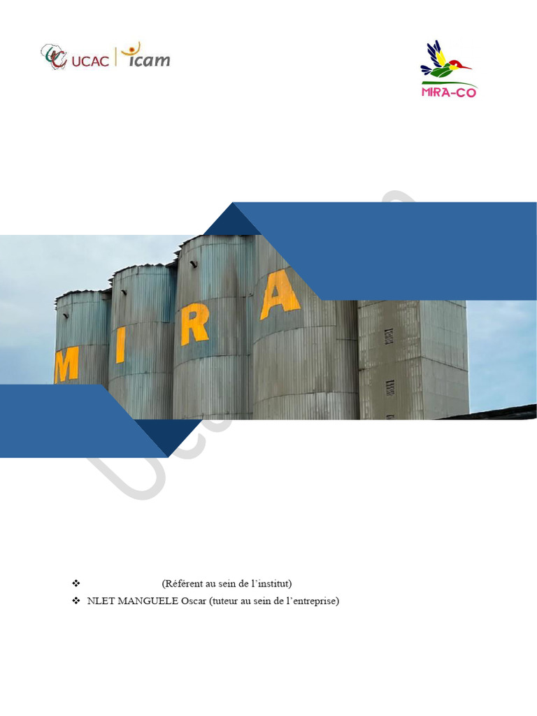 Rapport de stage chez MIRA S.A. | PDF | Ciment | Matériaux