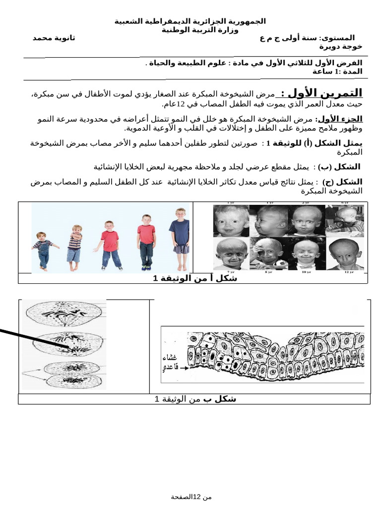 Devoir 1AS Modifie | PDF