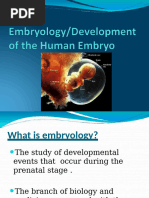 Pathophysiology of Normal Vaginal Delivery | PDF | Sexual Reproduction ...