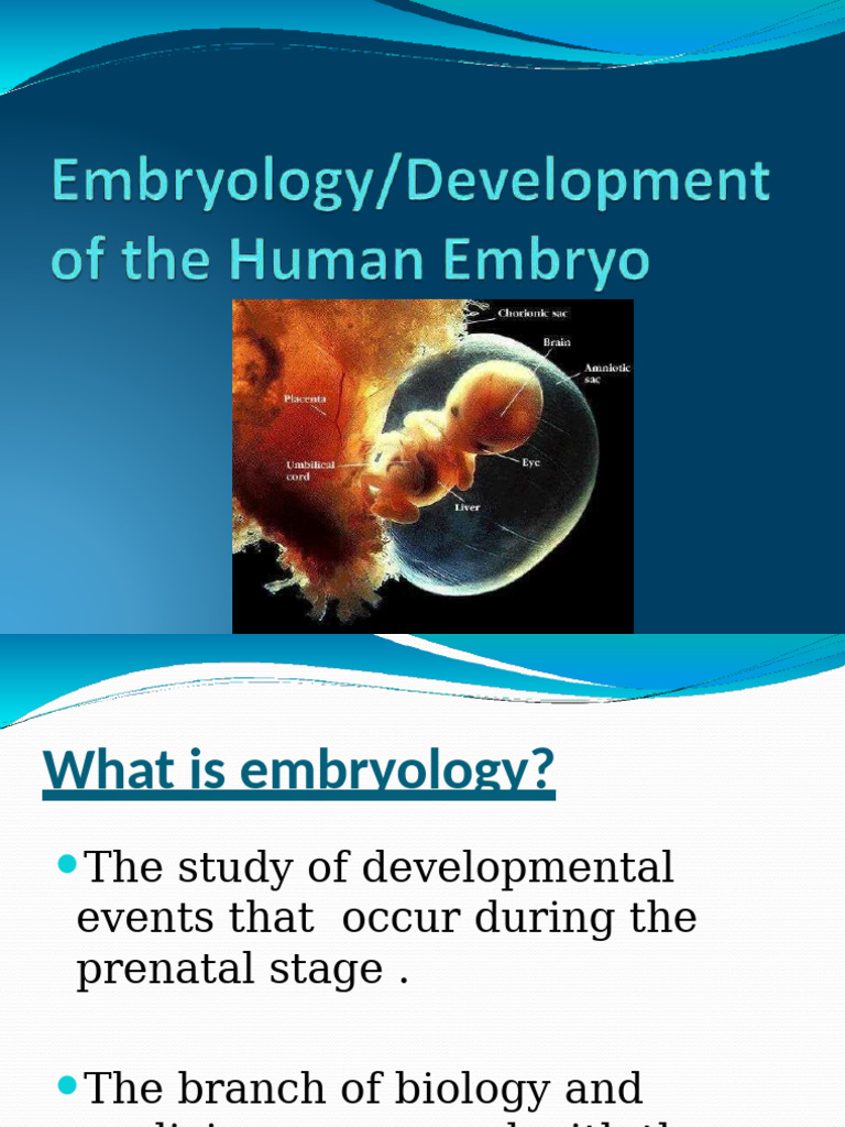 Introduction to Embryology-1 | PDF | Developmental Biology | Morphology ...