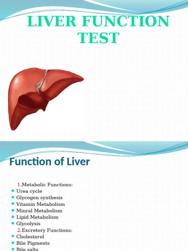 Liver Function Test 2018 | PDF | Alanine Transaminase | Lactate ...