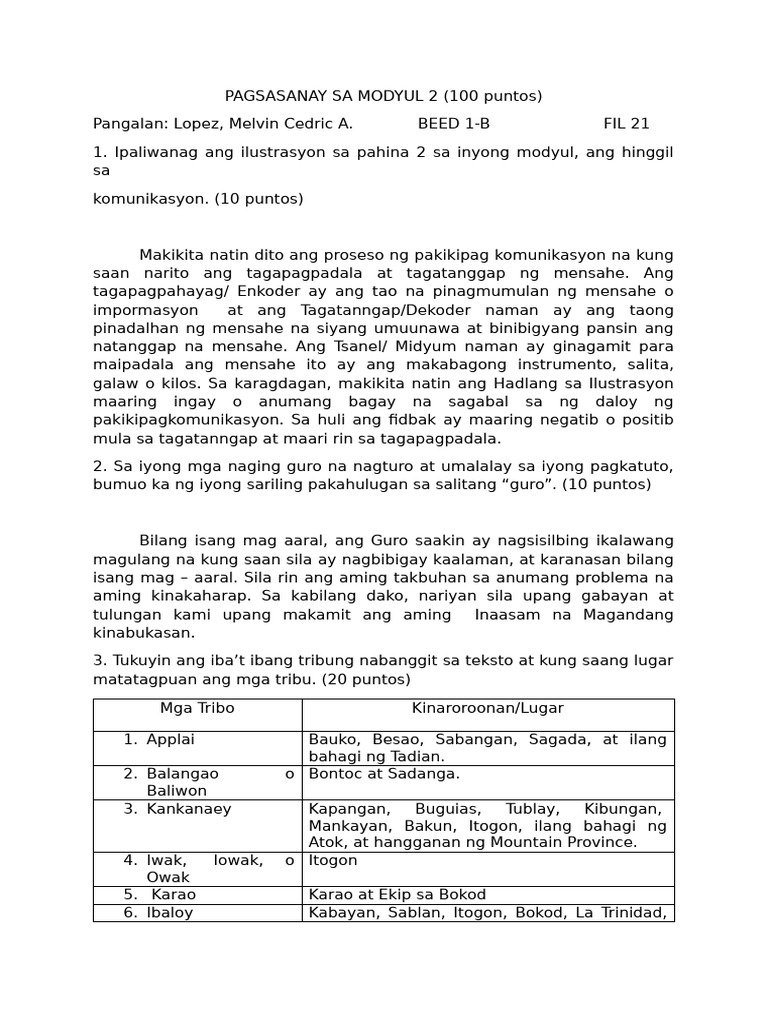 Pagsasanay Sa Modyul 2 | PDF