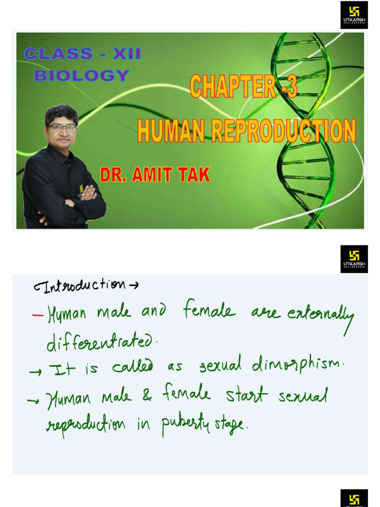 Part 01 Male Reproductive System Pdf