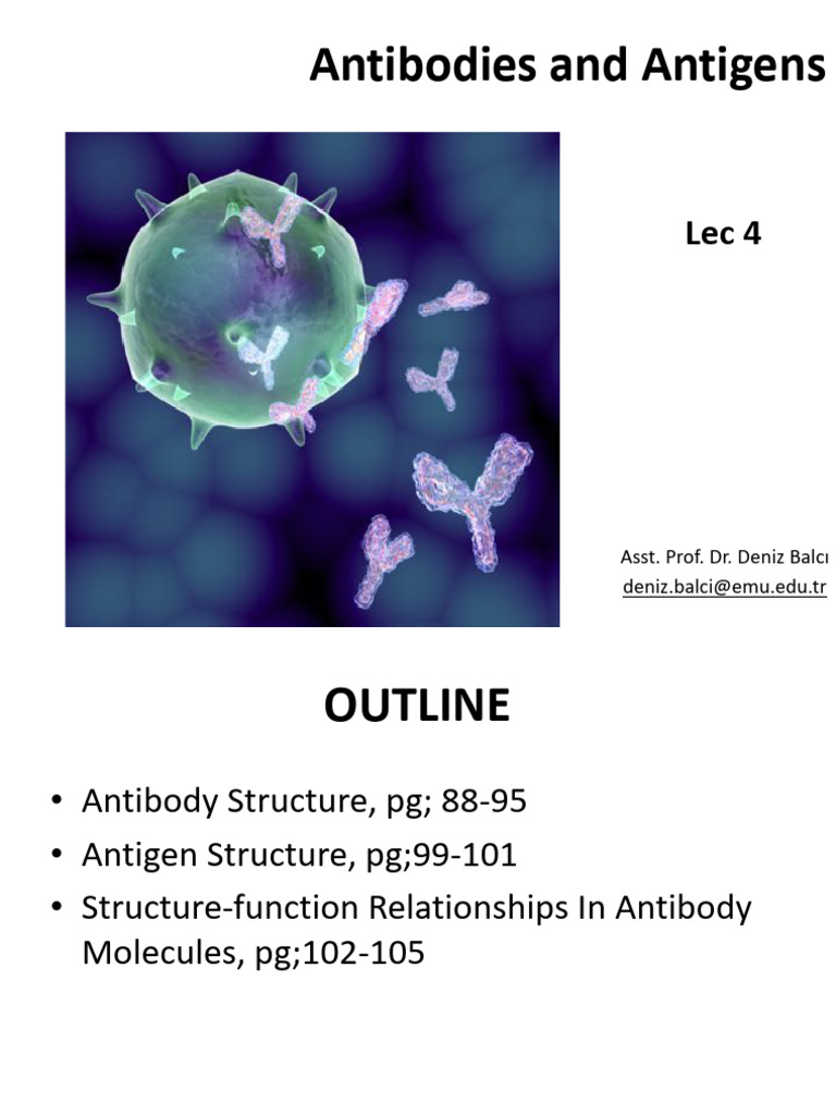 Antigens and Antibodies | PDF | Antigen | Antibody