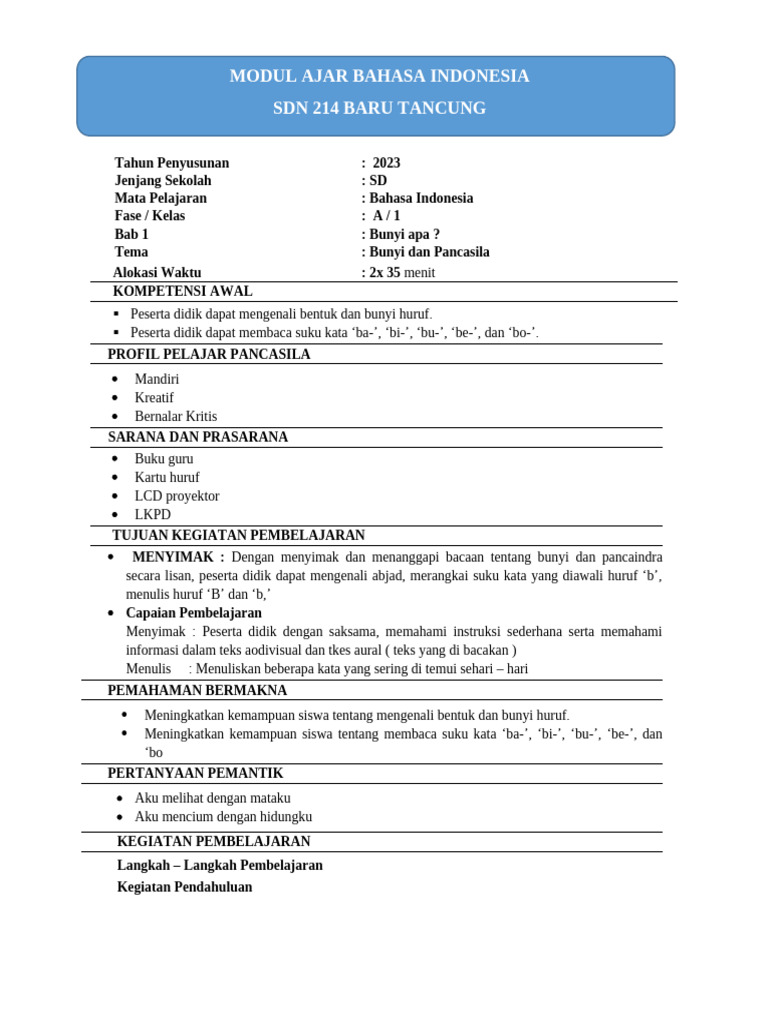 Modul Buatan Sendiri | PDF