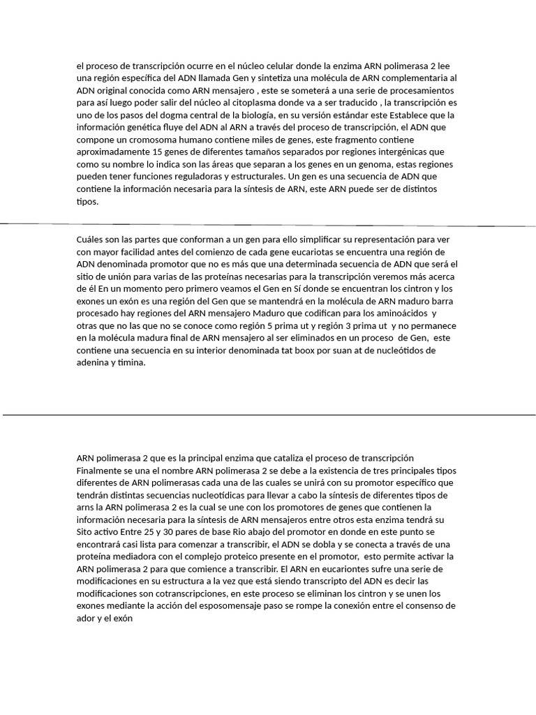 el proceso de transcripción ocurre en el núcleo celular donde la enzima ...