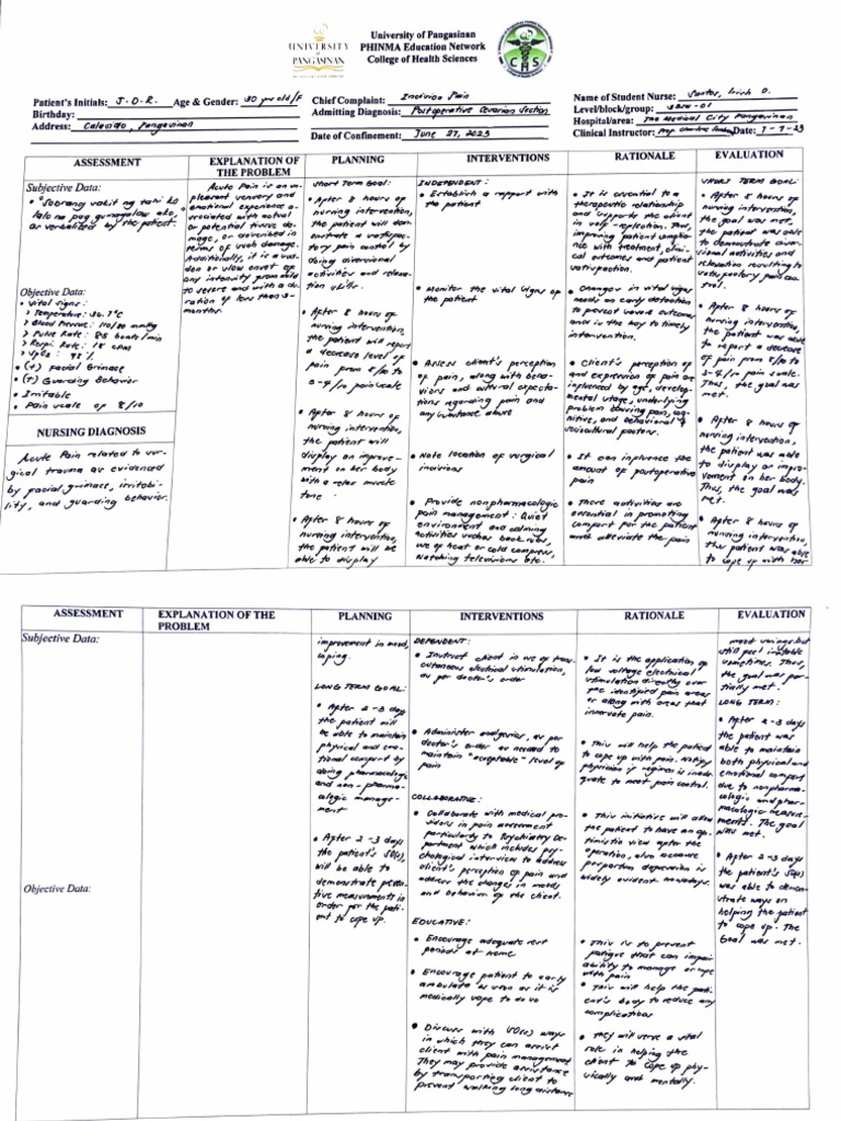 Nursing Care Plan - Post Op | PDF | Health Care