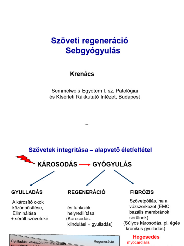 FOK Sebgyogyulás Kalcifikacio - KT | PDF