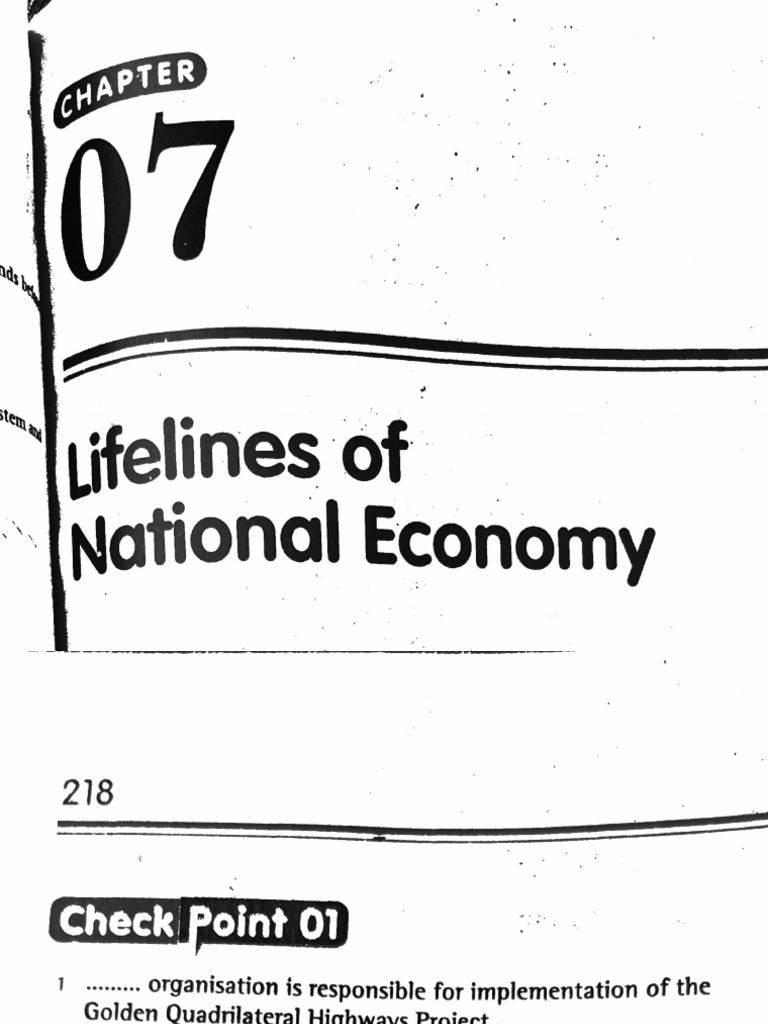Lifelines of National Economy | PDF