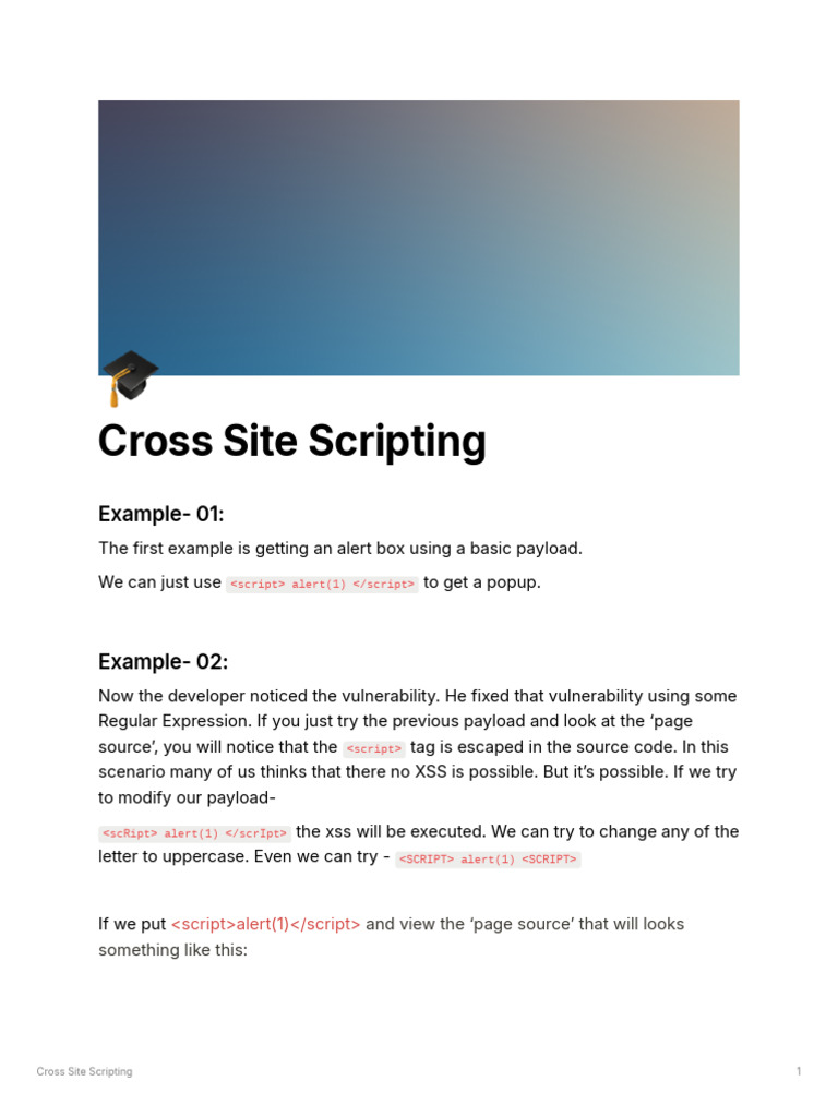 Cross Site Scripting | PDF | Computer Programming | Software Engineering