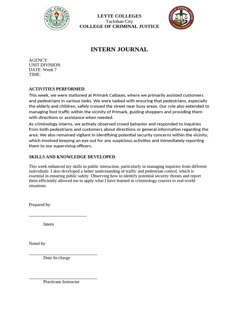Intern Journal | PDF