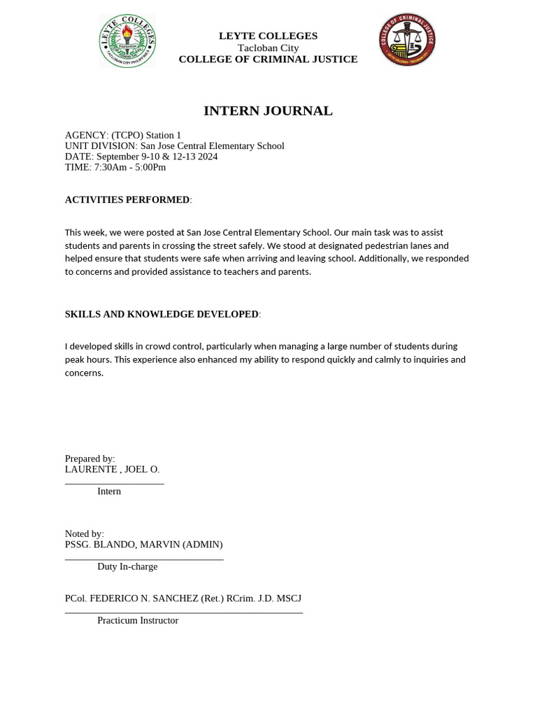 Intern Journal | PDF