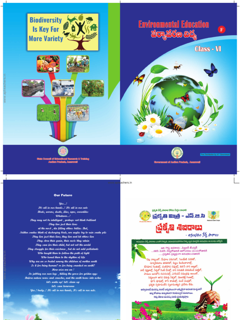 Environmental Education for 6th Class | PDF | Nature | Earth Sciences