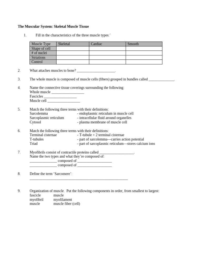 Homework - Muscles | PDF