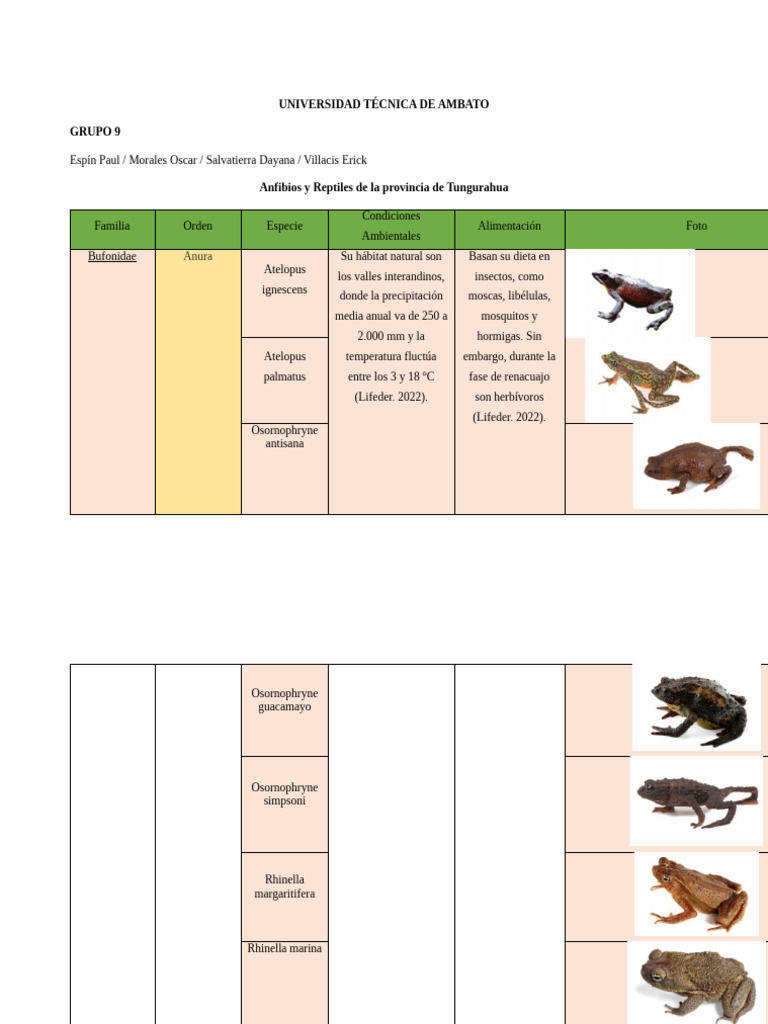 Reptiles y Anfibios | PDF