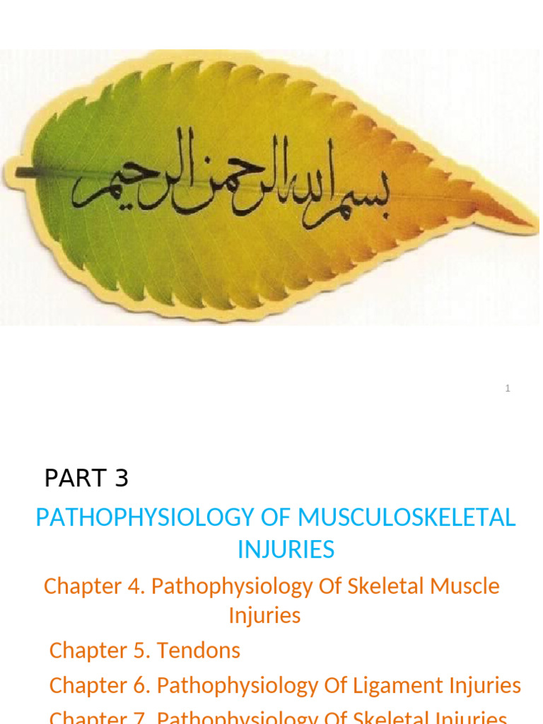 4 - Pathophysiology of Skeletal Muscle Injuries | PDF | Regeneration ...
