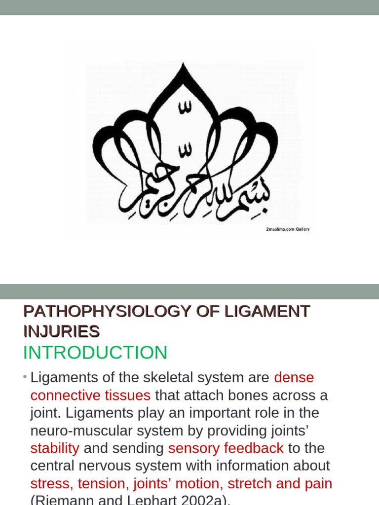ACL Injury Pathophysiology Overview | PDF | Knee | Clinical Medicine
