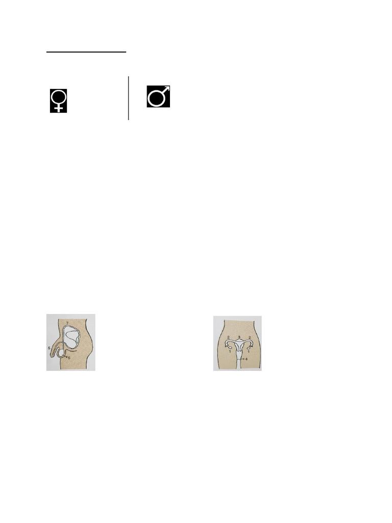 Nat - Ond TH 3 | PDF