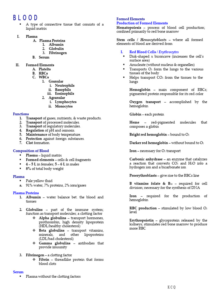 Cardiovascular System | PDF | Heart | Heart Valve