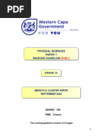 Grade 12 Physics Exam Guidelines 2025 | PDF | Force | Physics