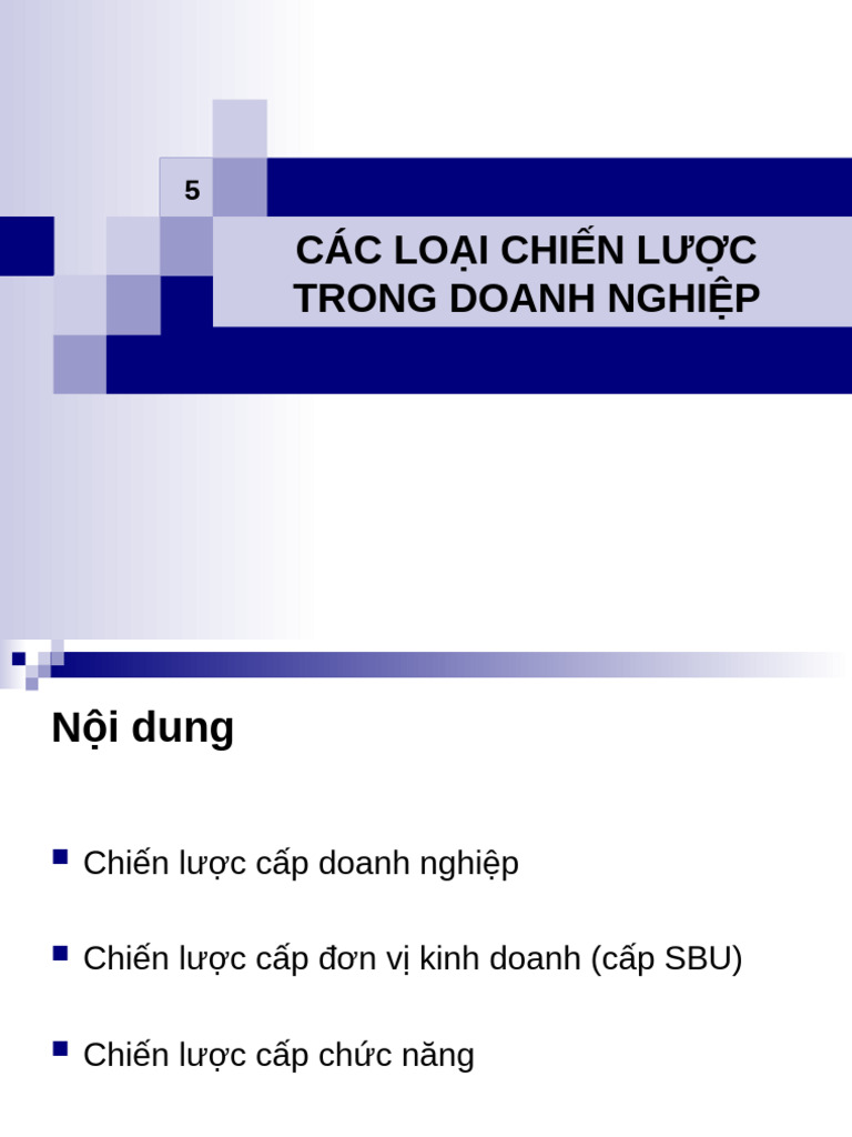Chuong 5. Cac Loai Chien Luoc | PDF