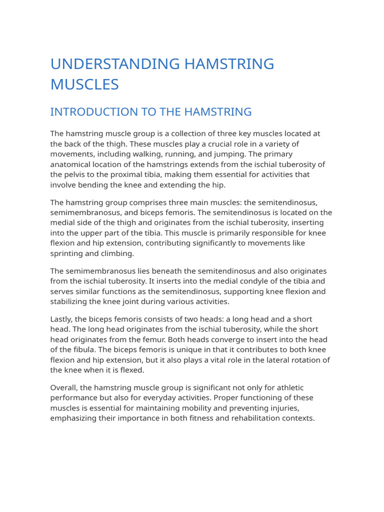 Understanding Hamstring Muscles Pdf Knee Musculoskeletal System
