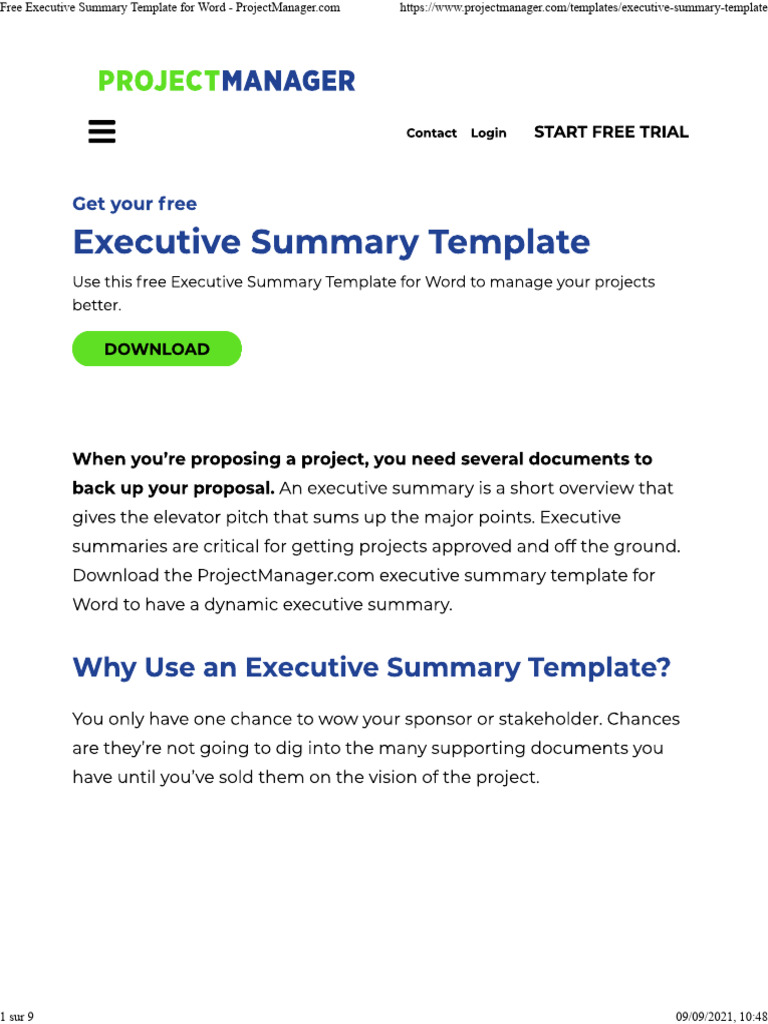 TEMPLATE - Executive Summary | PDF