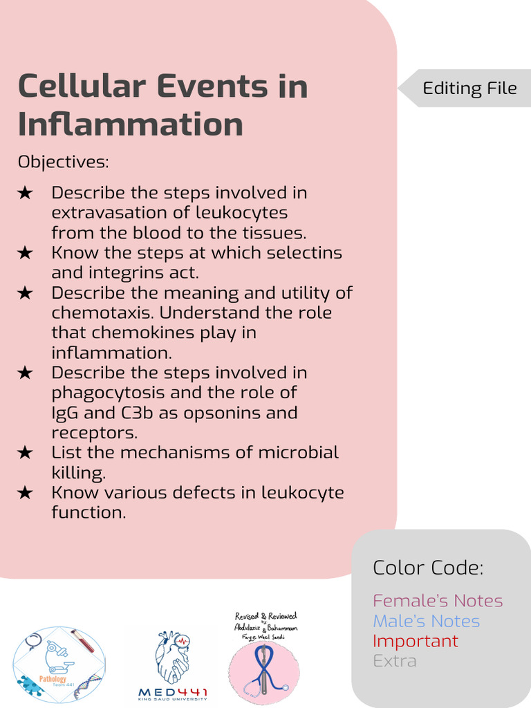 6-Vascular and Cellular Events in Inflammation Team441 | PDF ...