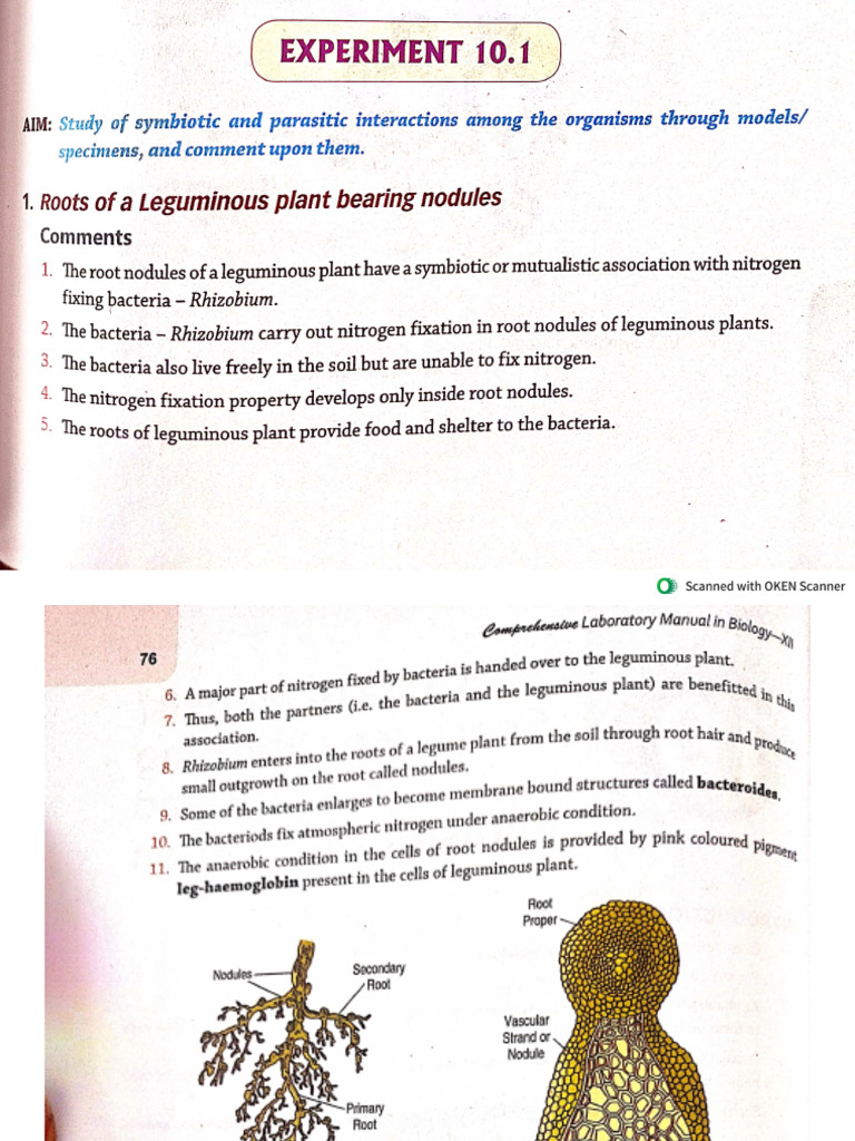 12 th spotting experiment 10 | PDF