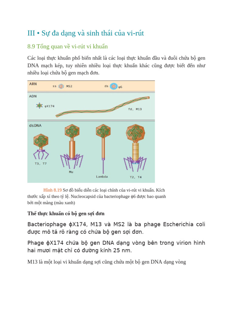 Phần 3 shpt | PDF