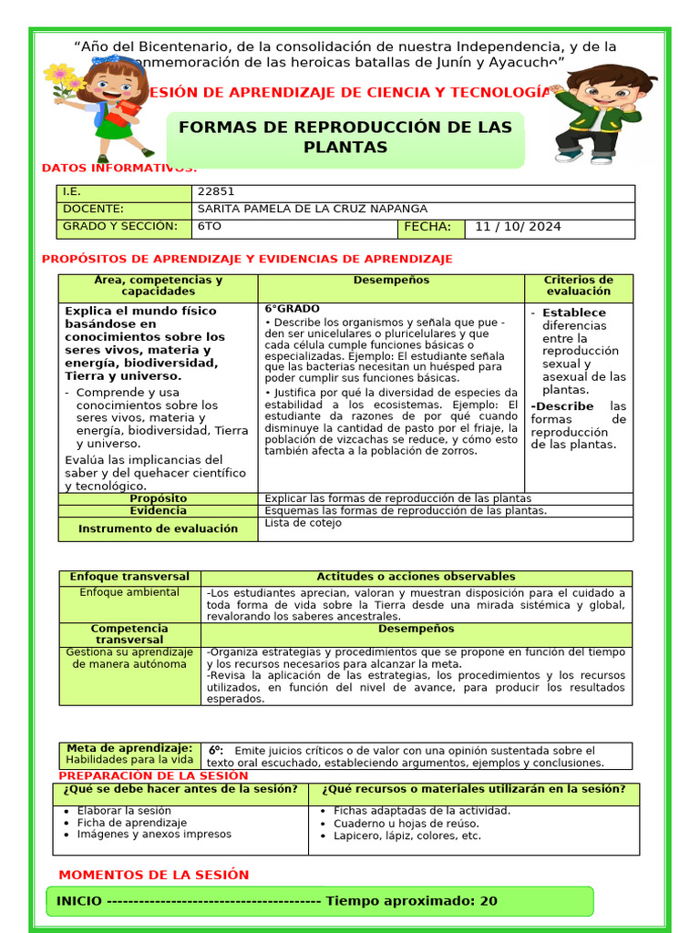 SESION DE CT | PDF | Reproducción | Flores