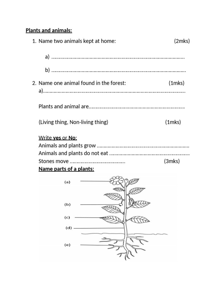 G1 science mid term exam | PDF