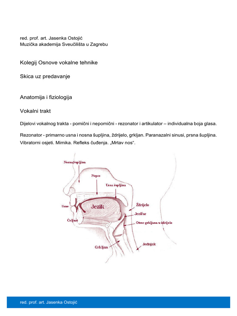 5 Ton. Anatomija. Vok. Trakt. Grkljan | PDF