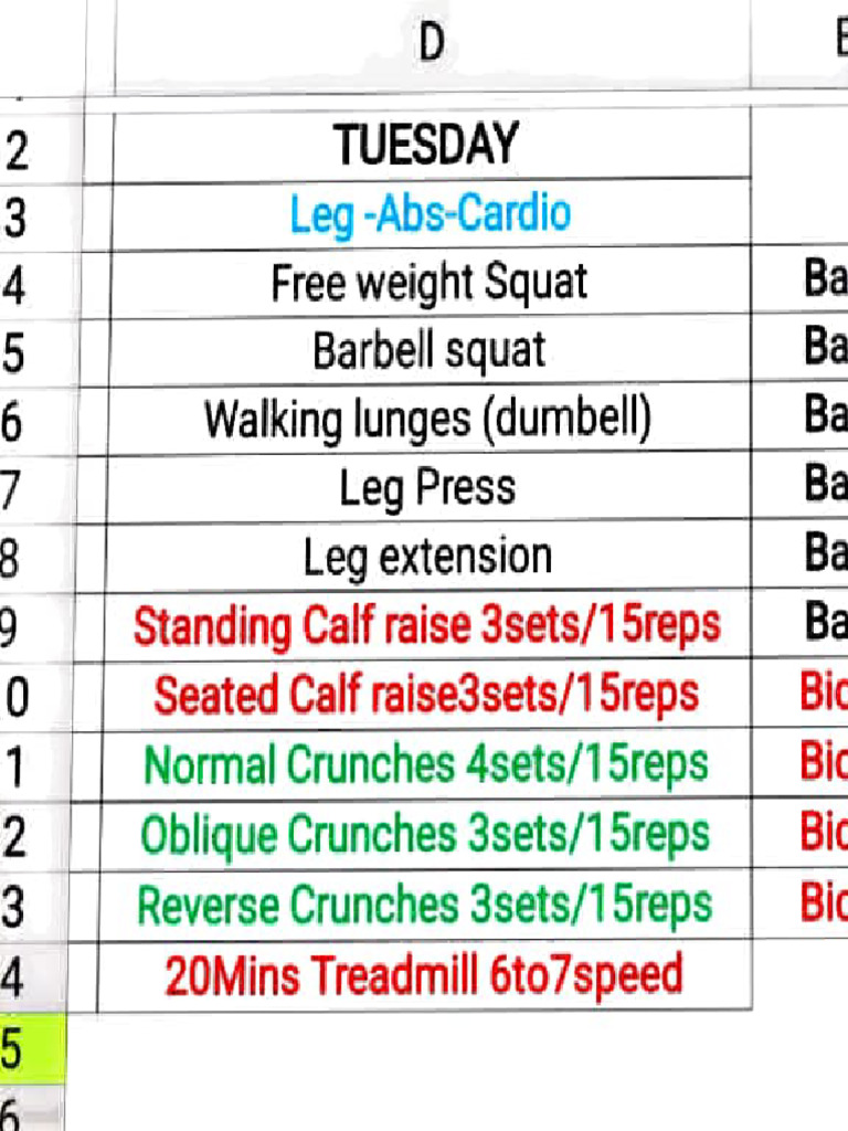Tuesday Leg and Abs Workout Guide | PDF | Physical Fitness | Weight ...
