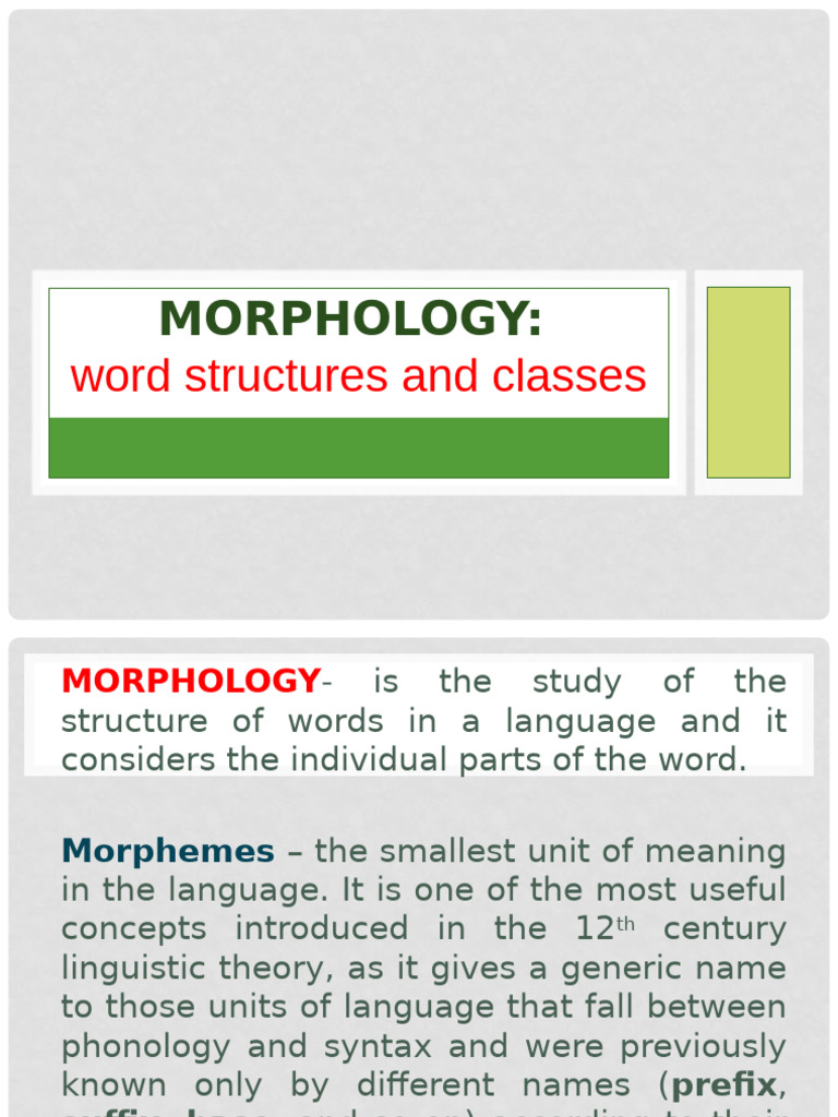 Morphology | PDF | Word | Noun