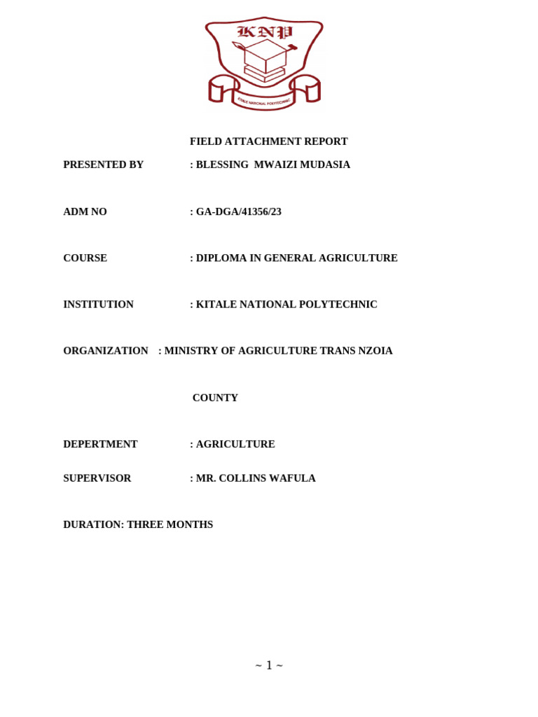 Field Attachment Report Victor Chisala | PDF | Honey Bee | Beehive