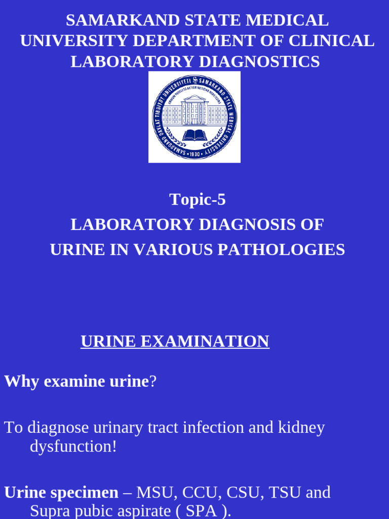 Urine Diagnosis in Clinical Pathologies | PDF | Urine | Urology