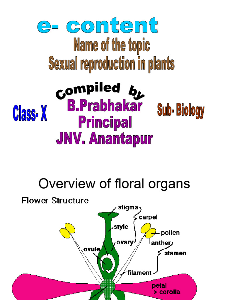 Sexualreproductioninplantsppt 160530132829 | PDF | Flowers | Fertilisation