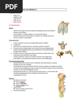 Zelfstudie Anatomie Wervelkolom en Thorax (Botten) | PDF