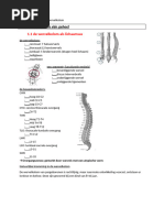 Zelfstudie Anatomie Wervelkolom en Thorax (Botten) | PDF