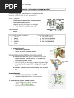 Anatomie Van de Heup | PDF
