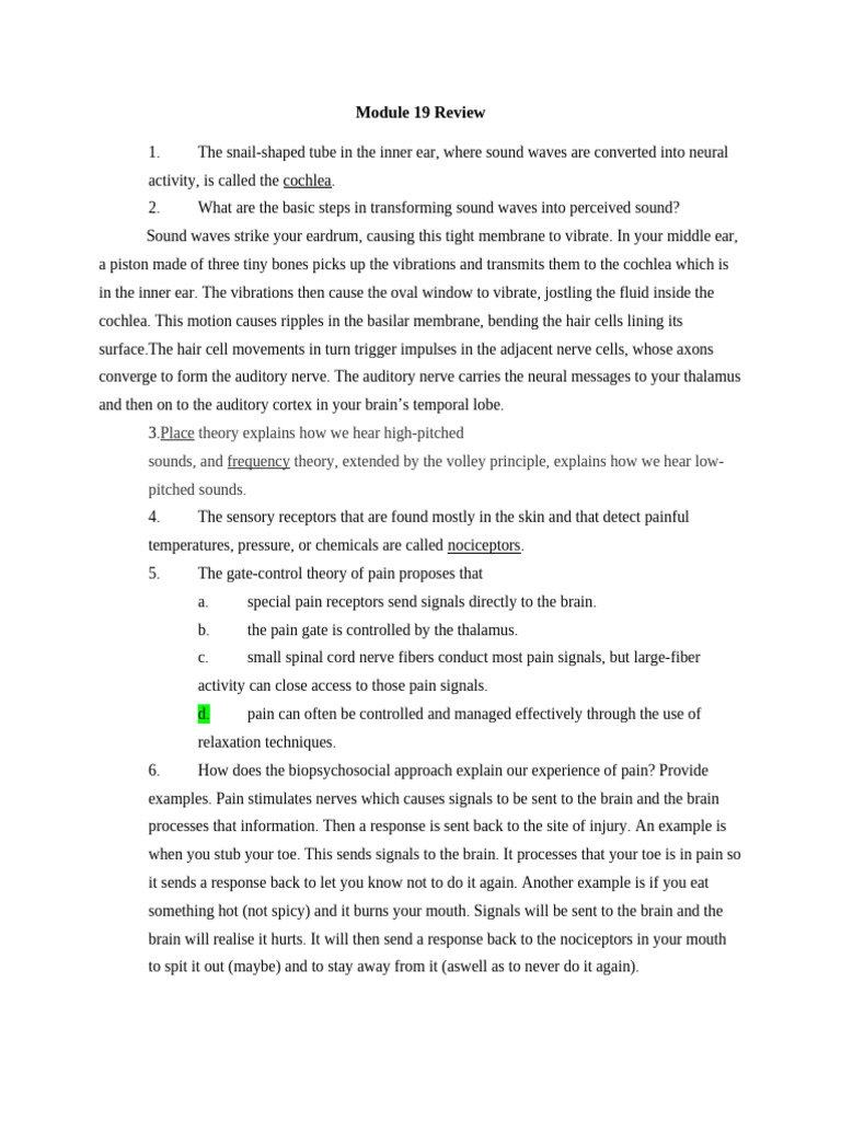 Module 19 Review | PDF | Auditory System | Taste