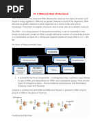 NCERT - Molecular Basis of Inheritance | PDF | Operon | Translation (Biology)