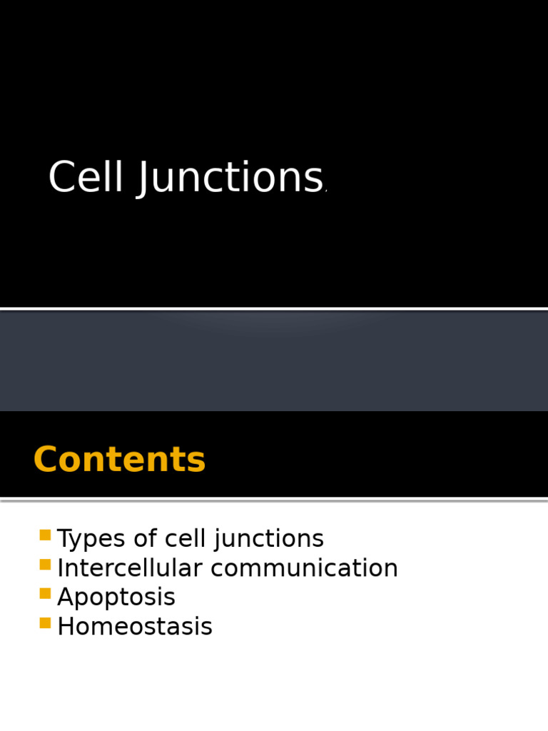 Types of Cell Junctions Explained | PDF | Cell Membrane | Cell ...