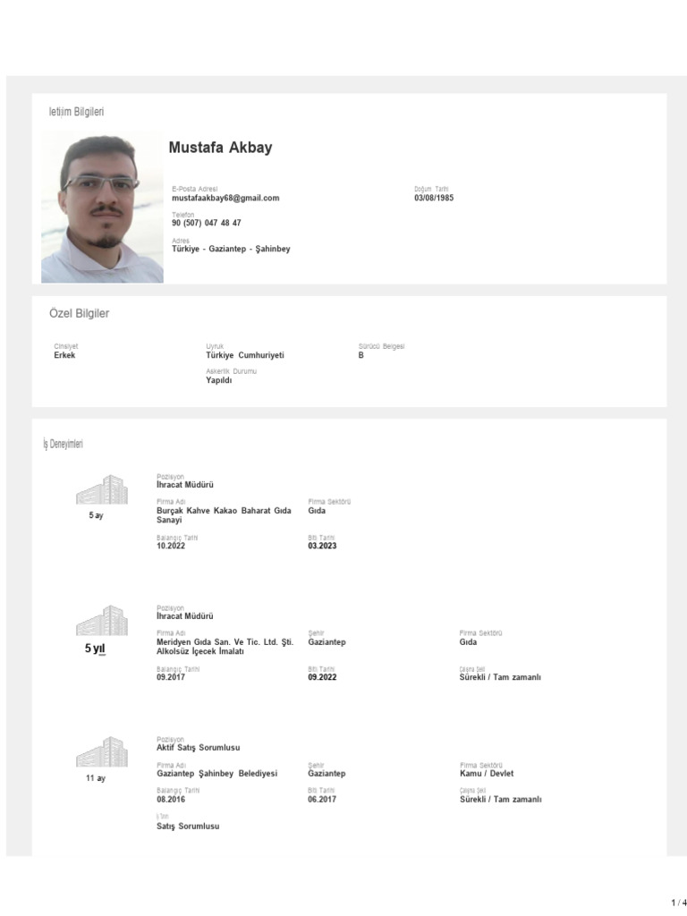 Mustafa Akbay Cv. | PDF